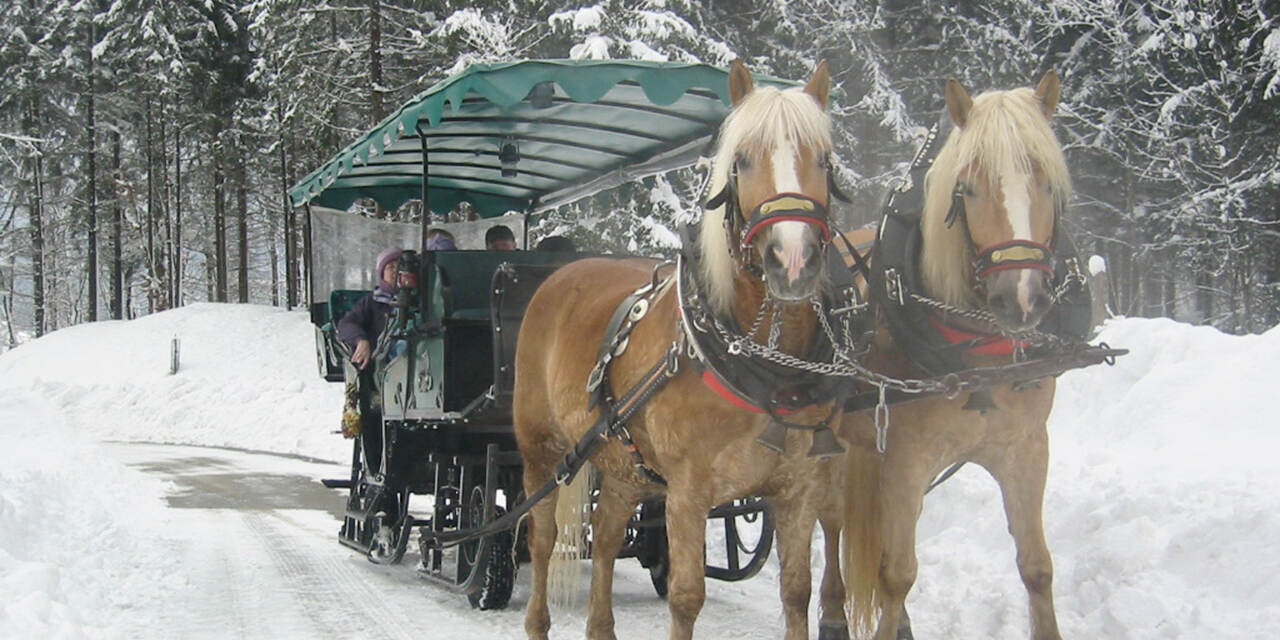 Horse drawn sleigh ride - Private tour in the Austrian mountains