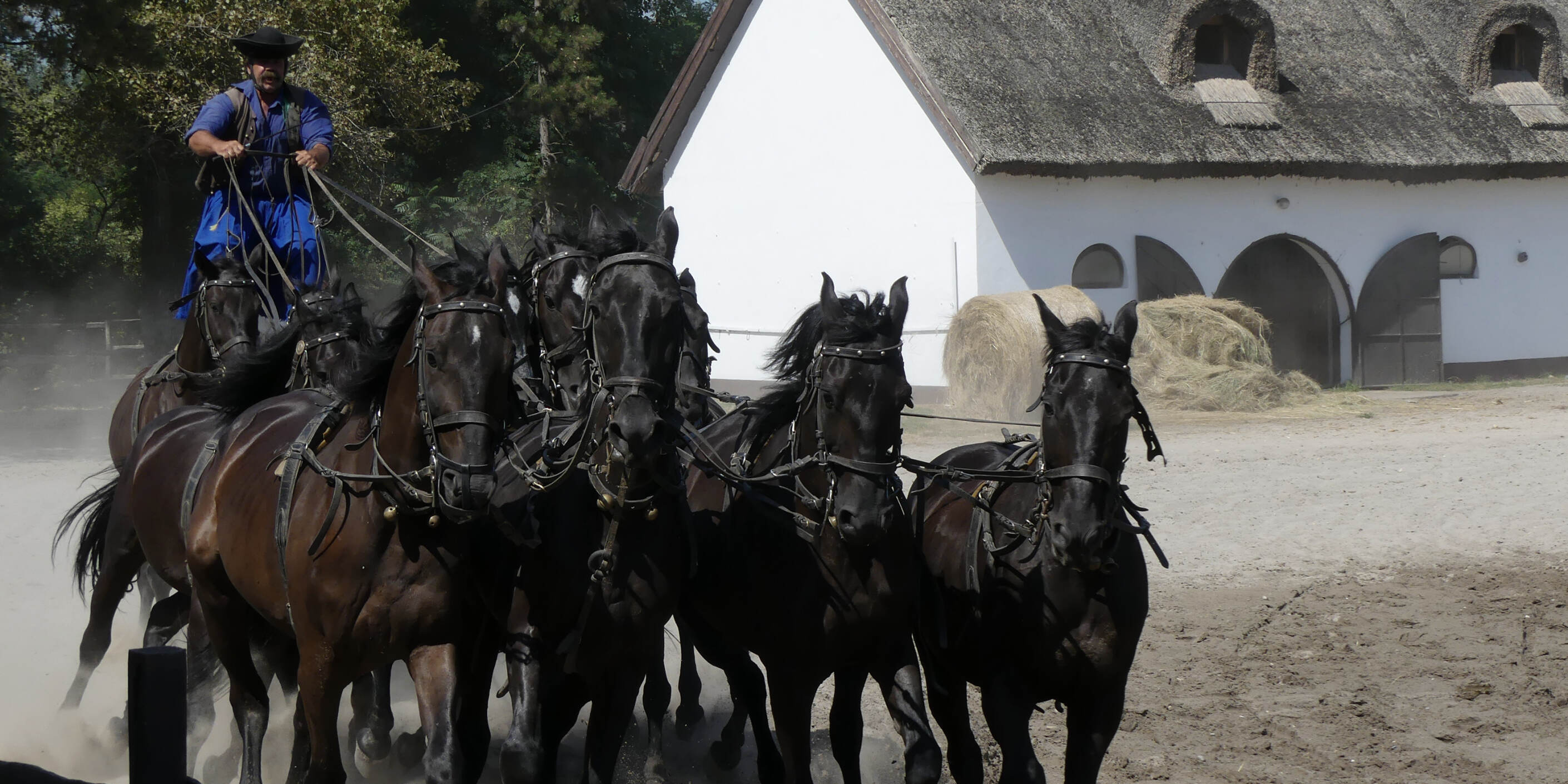 Ganztagestour in die Puszta inkl. Mittagessen